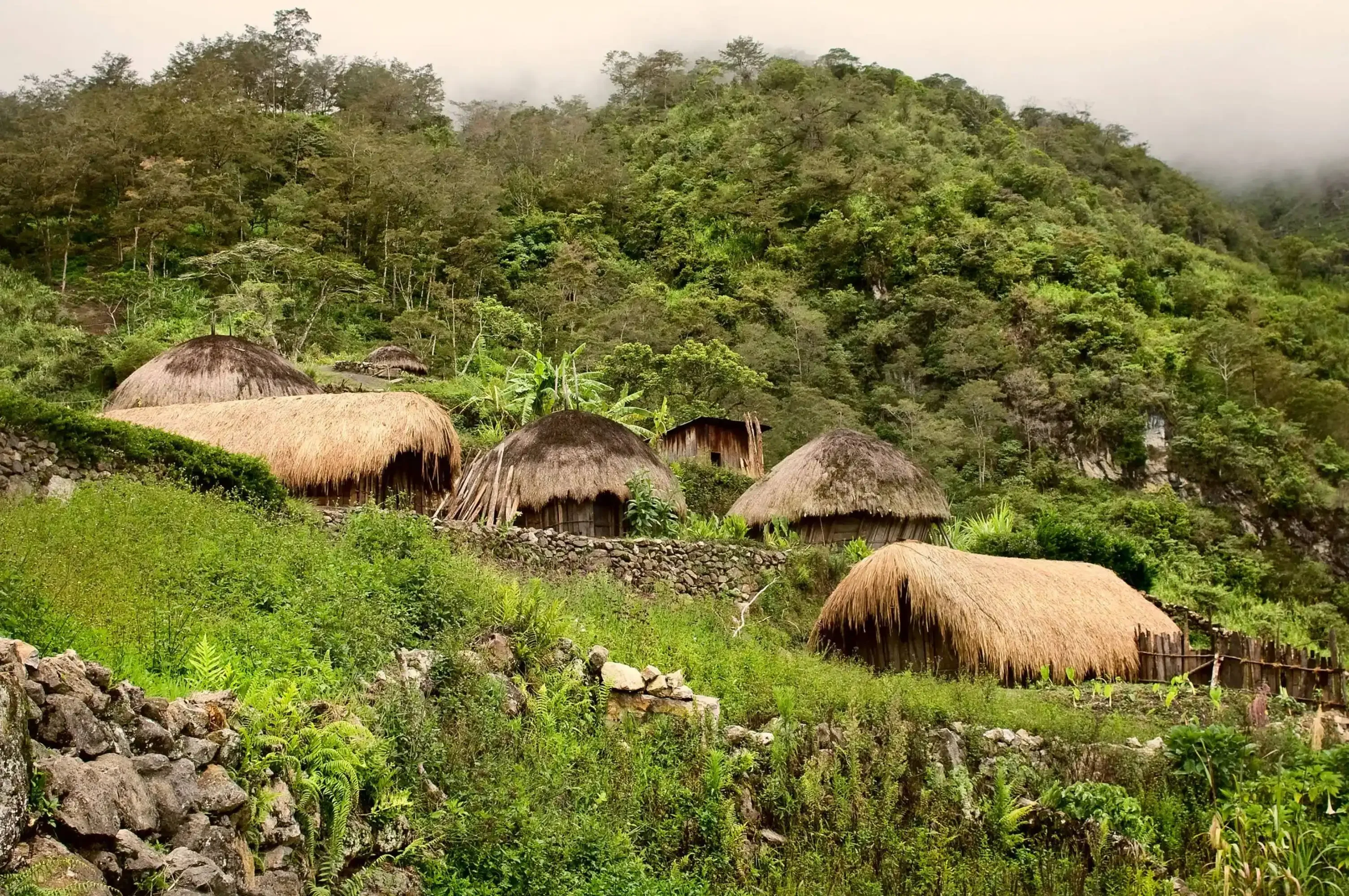 Explore Papua New Guinea | Remote Tours & Adventures