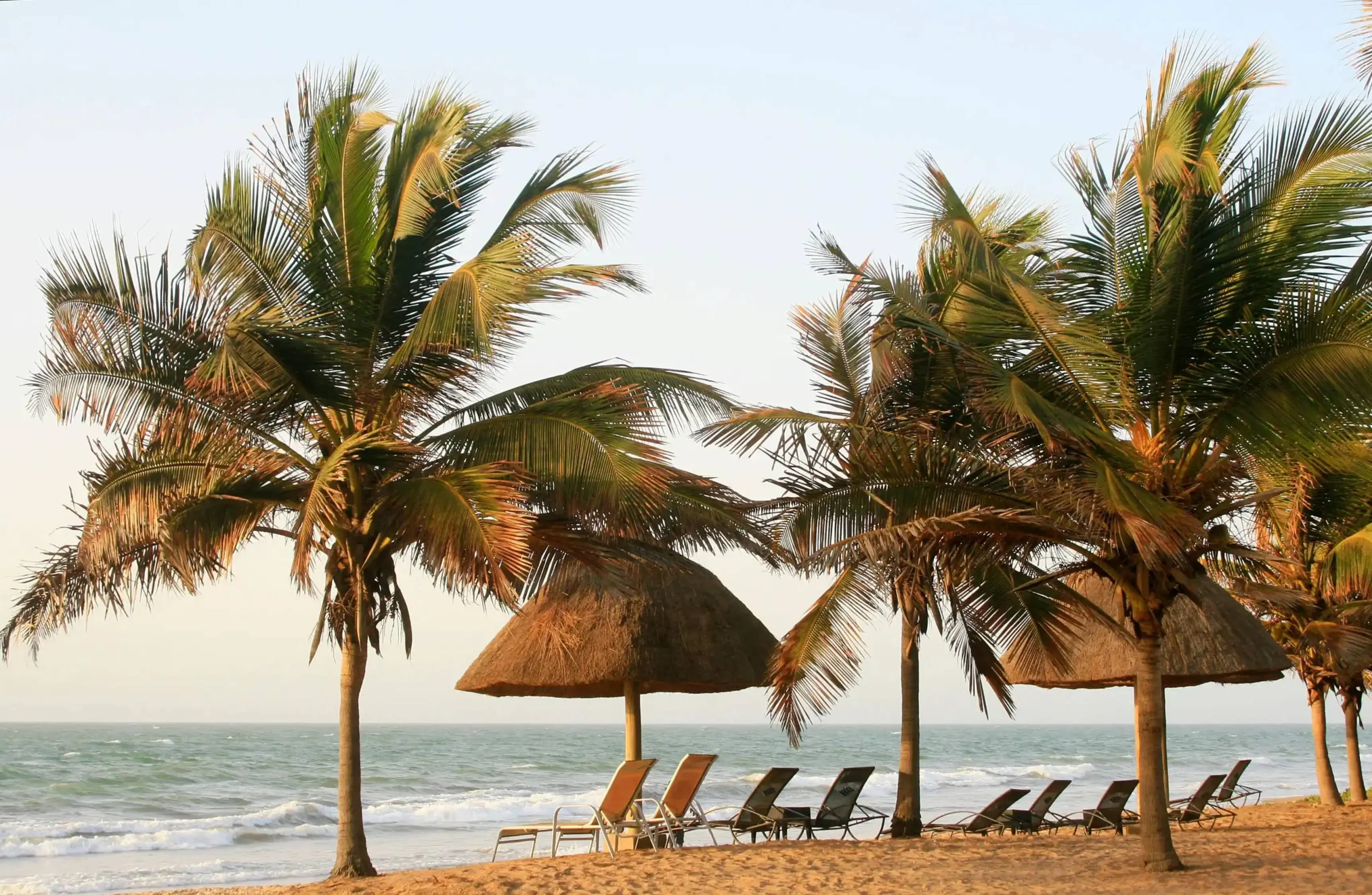Best Gambia Tours 2025 | Culture, River & Beach Escapes