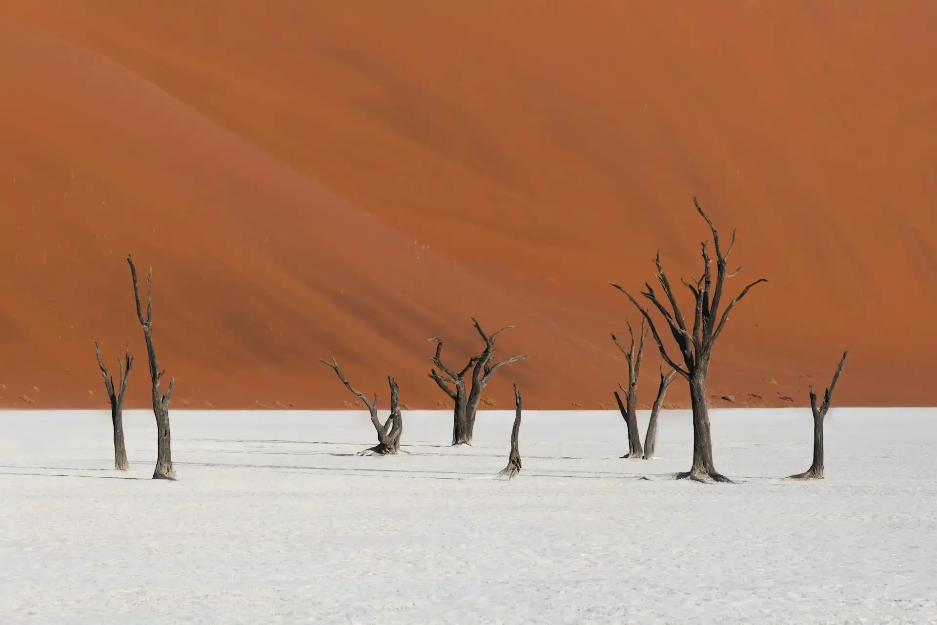 Namibia | Vast Deserts, Stars & Wild Silence